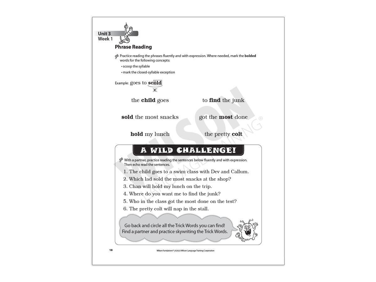 Fundations Practice Book Level 2