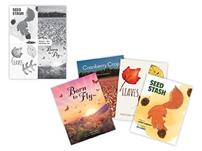 Geodes Library with Fundations Intro Video (2)