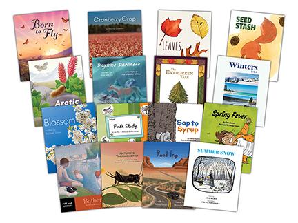 Geodes Library with Fundations Intro Video (2)